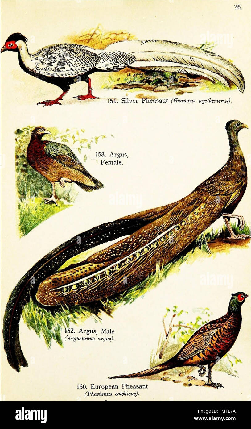 This publication is designed for young readers, introducing various ...