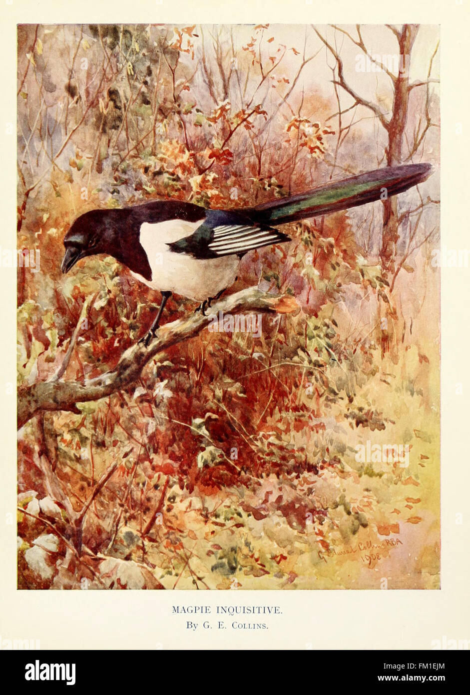 'Birds Through the Year 59.82:08' explores the seasonal changes and ...