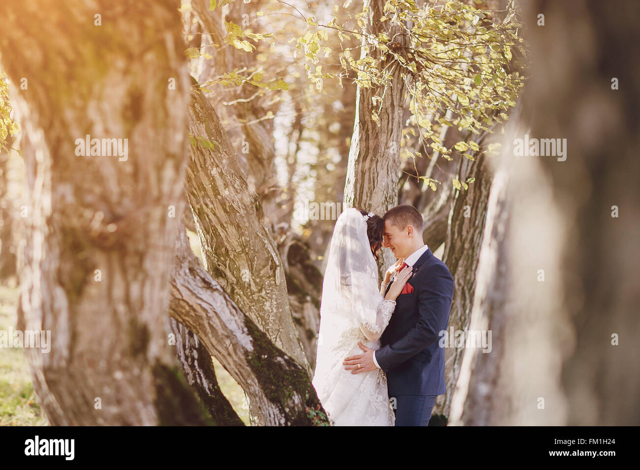 wonderful wedding day Stock Photo - Alamy