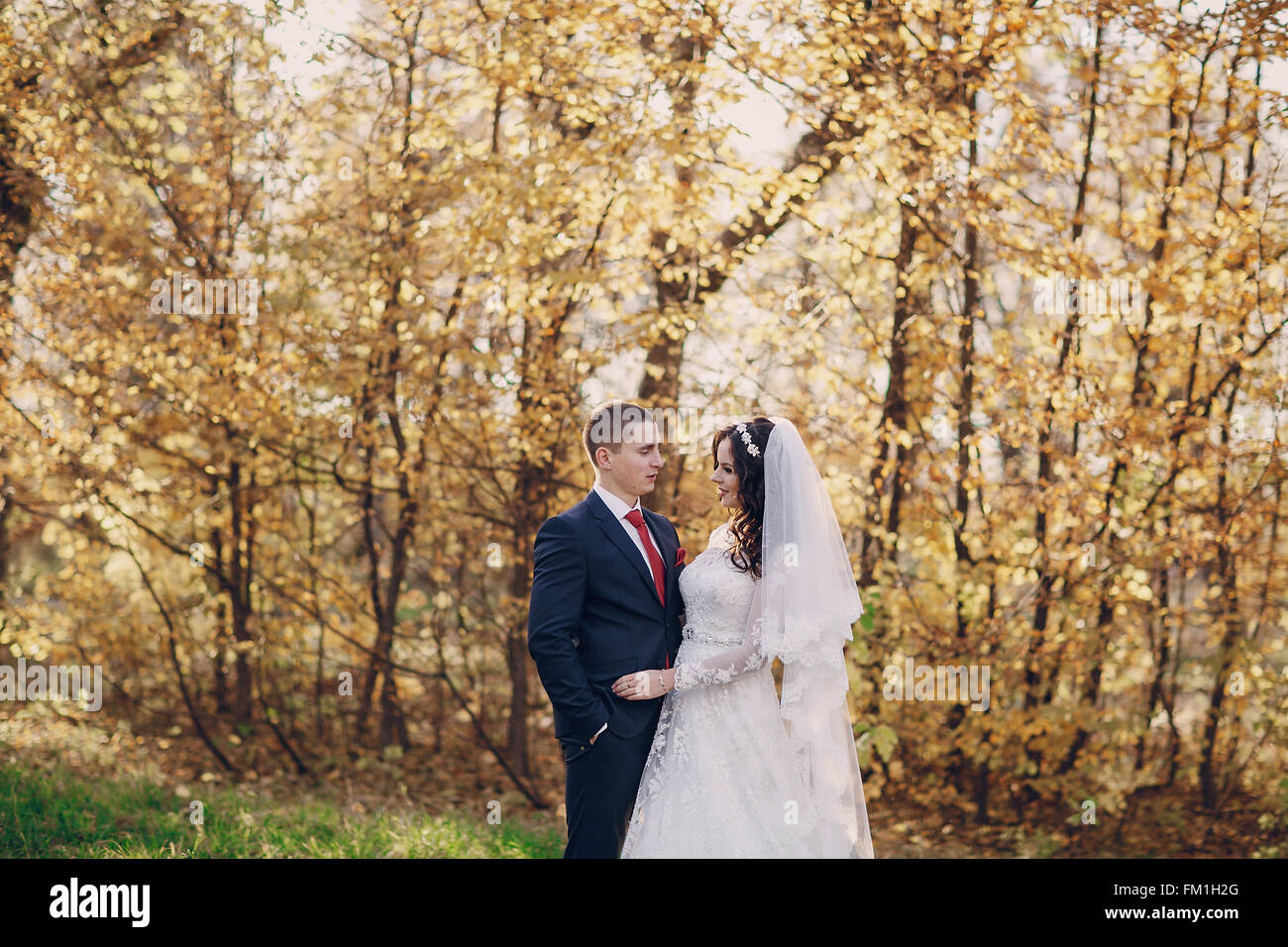 wonderful wedding day Stock Photo - Alamy