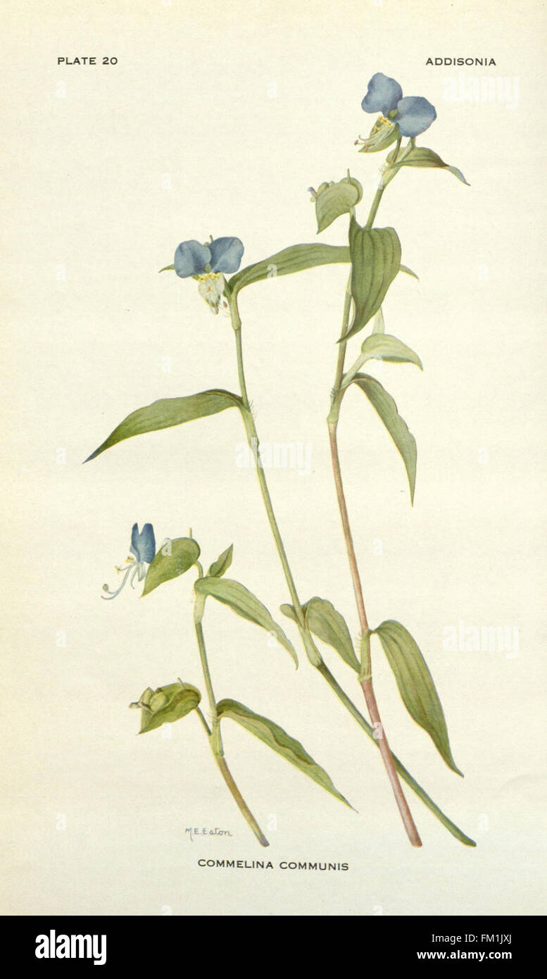 Plate 20 map hi-res stock photography and images - Alamy