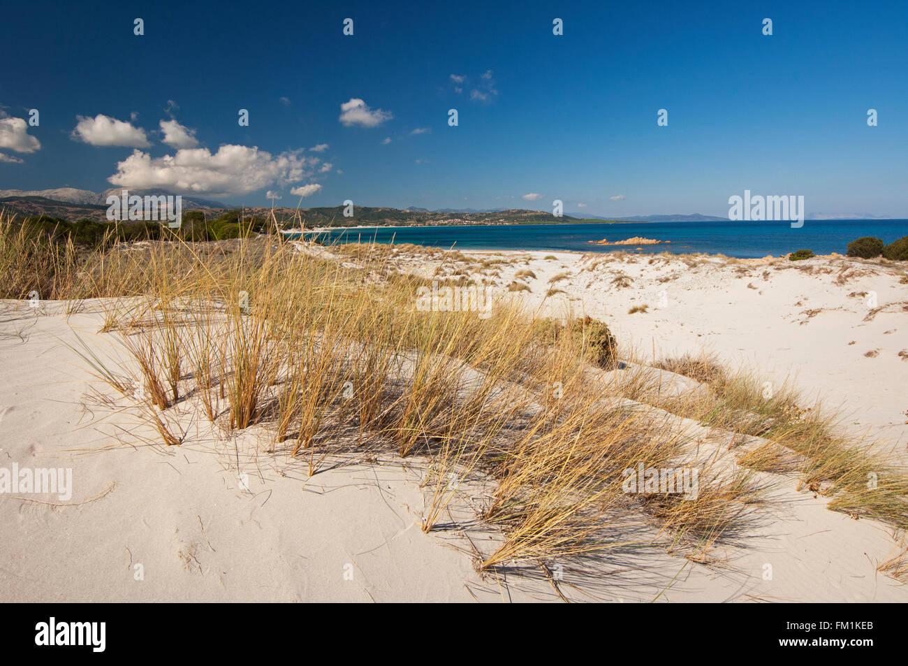 Siniscola,Sardinia,Italy, 10/2012. Sand dunes at Capo Comino beach in a ...