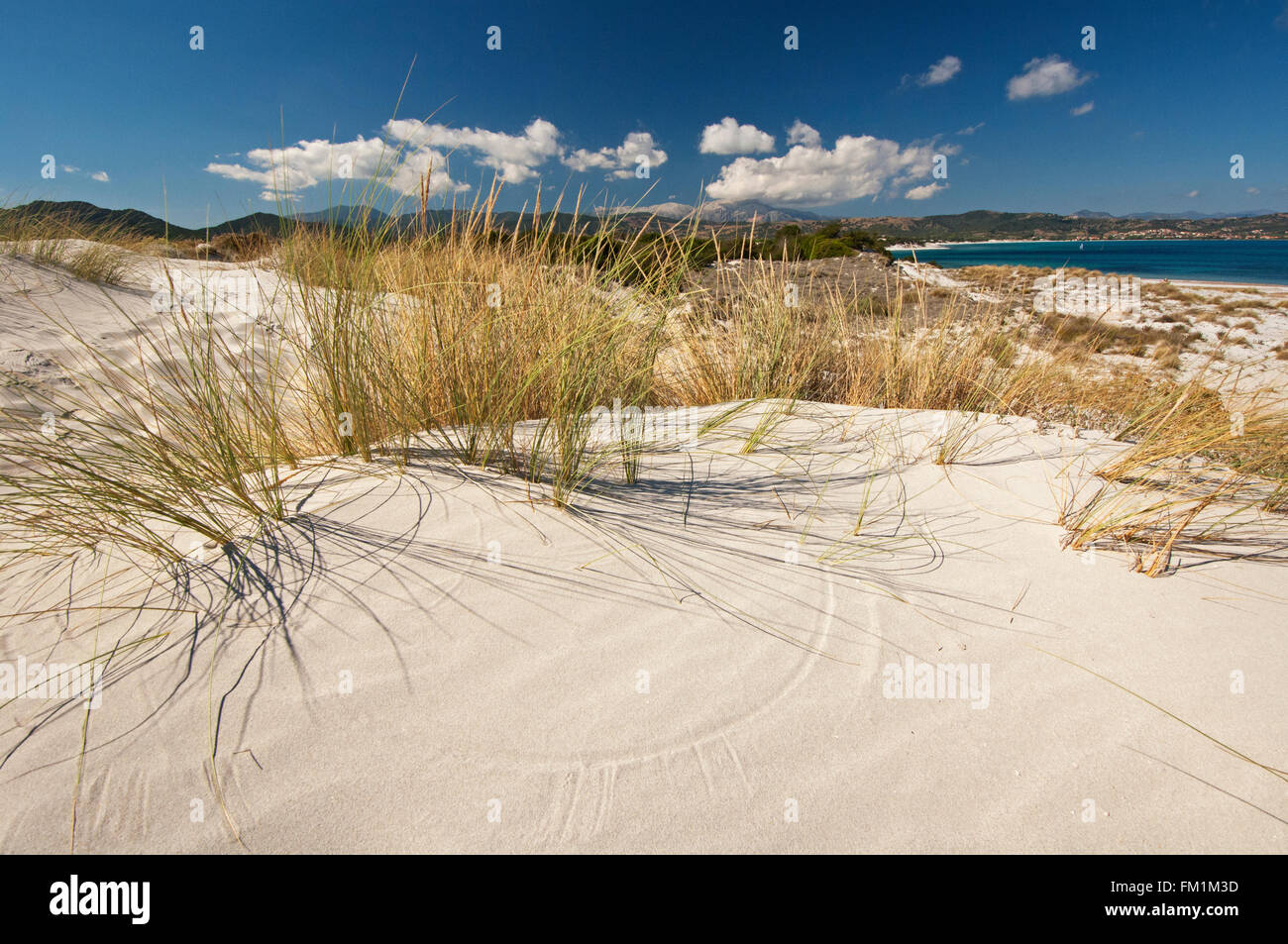 Siniscola,Sardinia,Italy, 10/2012. Sand dunes at Capo Comino beach in a ...