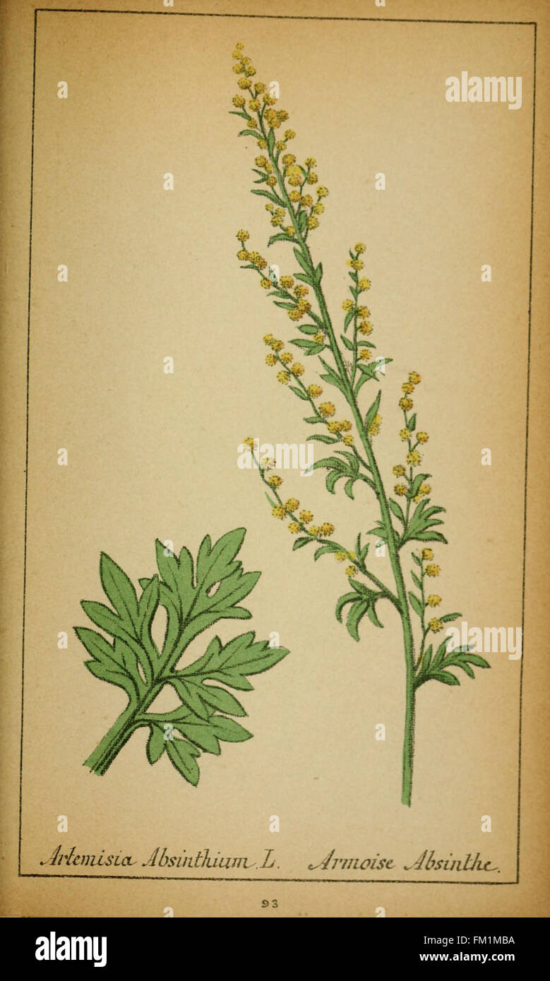 This work highlights plants from Central Europe, particularly from ...
