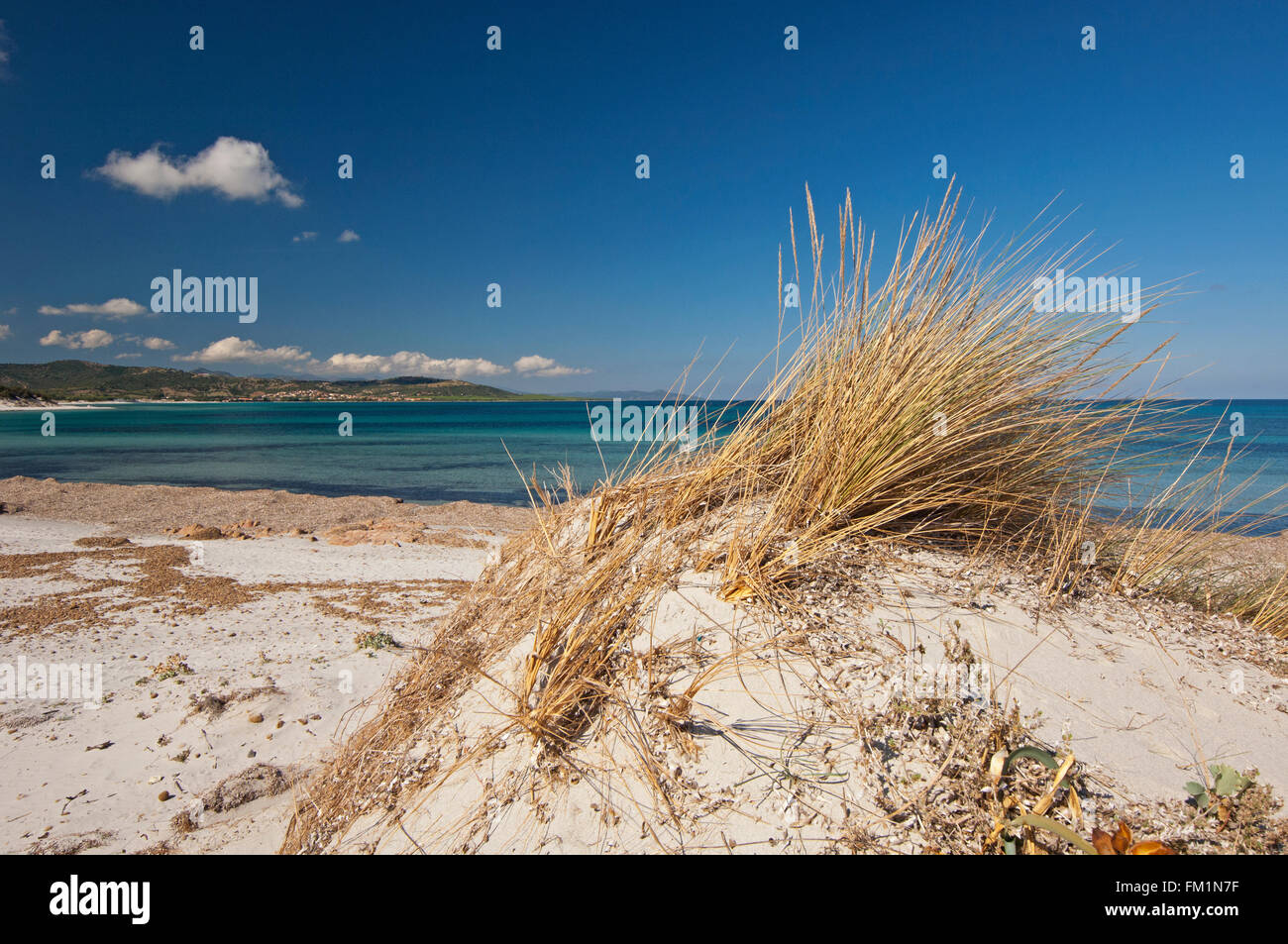 Siniscola,Sardinia,Italy, 10/2012. Sand dunes at Capo Comino beach in a ...