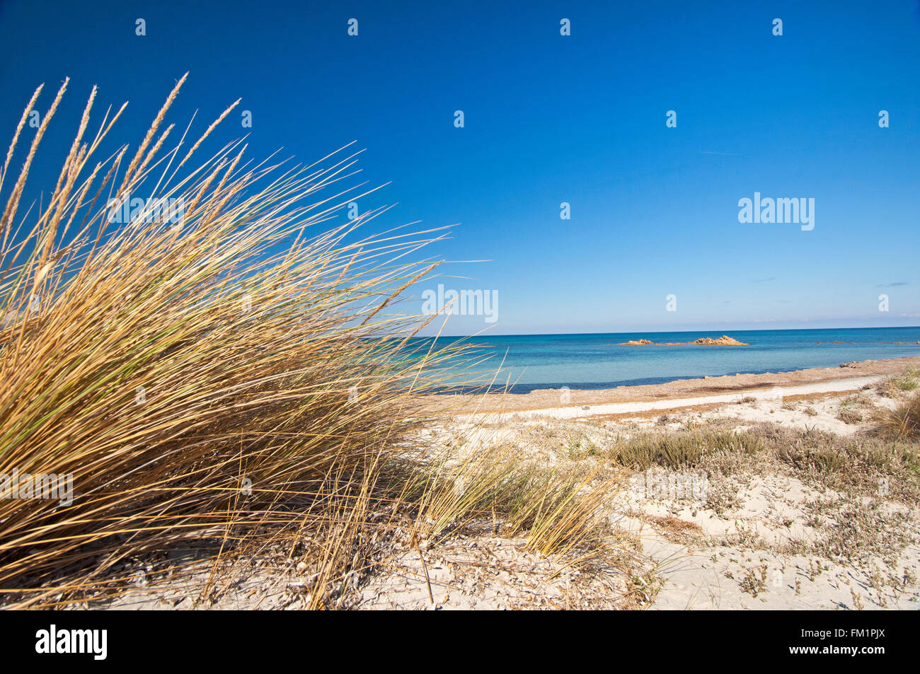 Siniscola,Sardinia,Italy, 10/2012. Sand dunes at Capo Comino beach in a ...