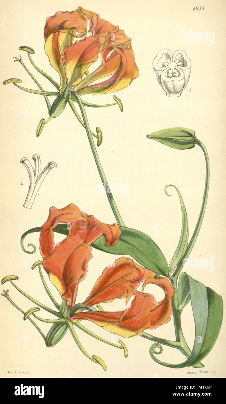 Peter H. Raven Library Periodicals Pictorial works Stock Photo - Alamy