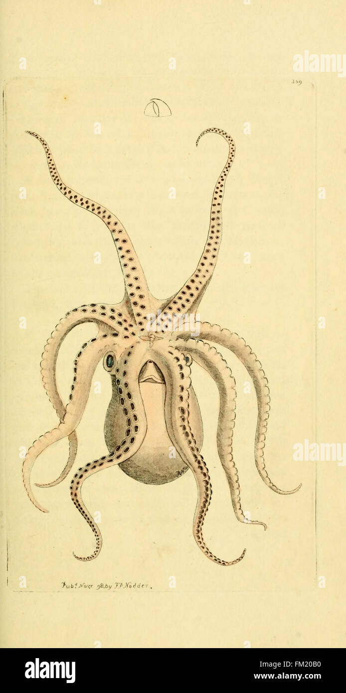 An early work offering detailed descriptions and illustrations of ...