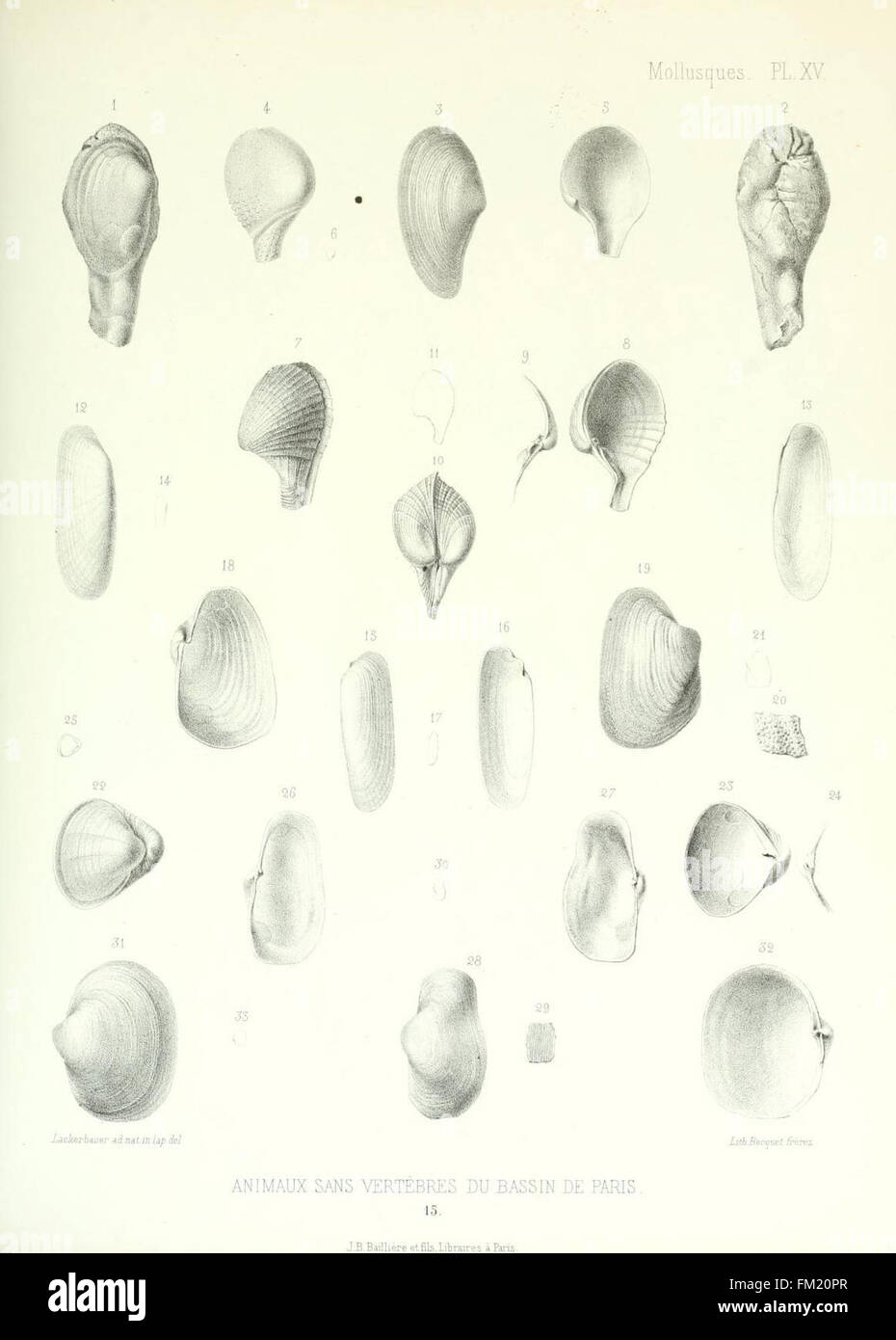 This work provides detailed descriptions and illustrations of ...