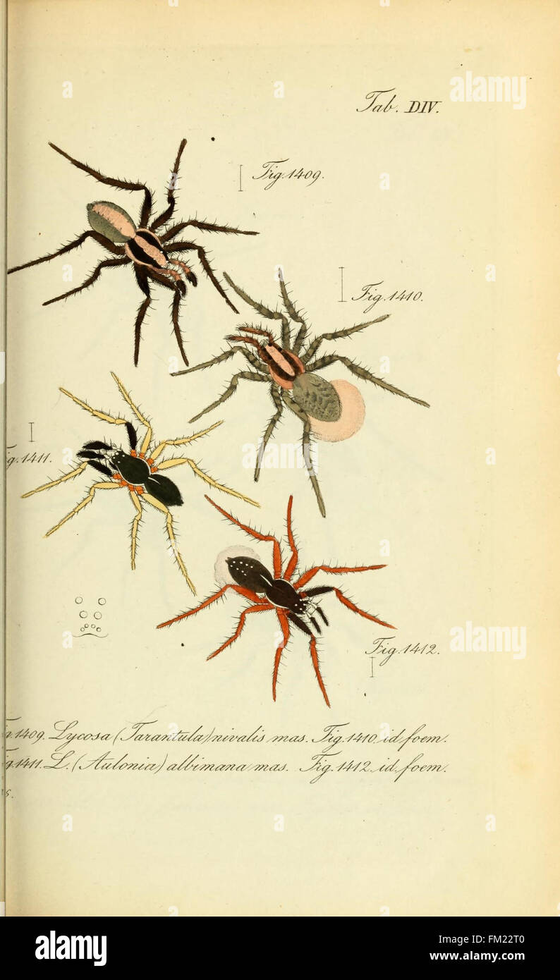 Div font hi-res stock photography and images - Alamy