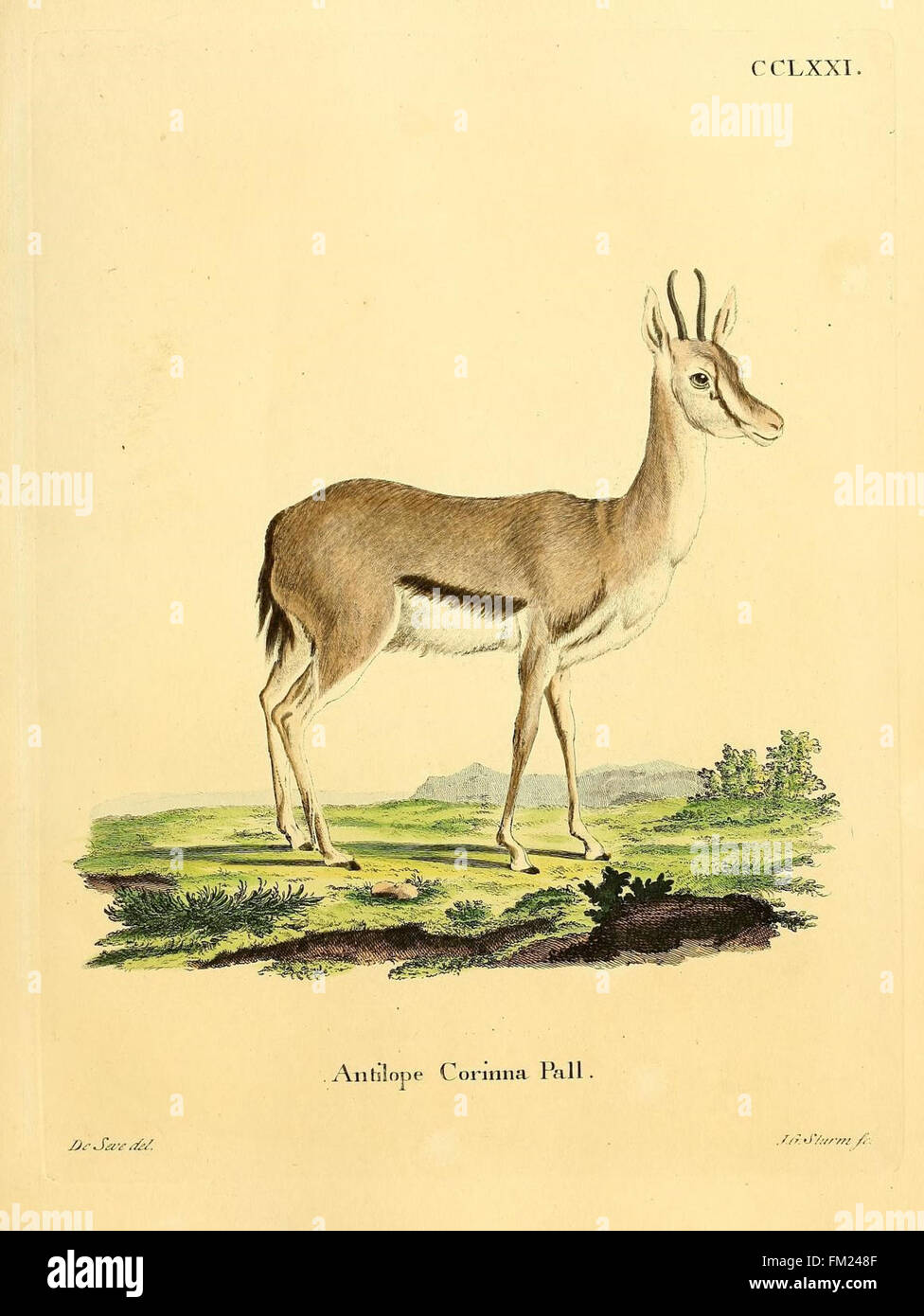 This plate from the Harvard University MCZ Ernst Mayr Library provides ...