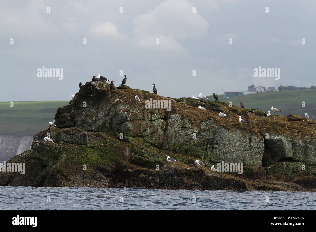 The skerries portrush hi-res stock photography and images - Alamy