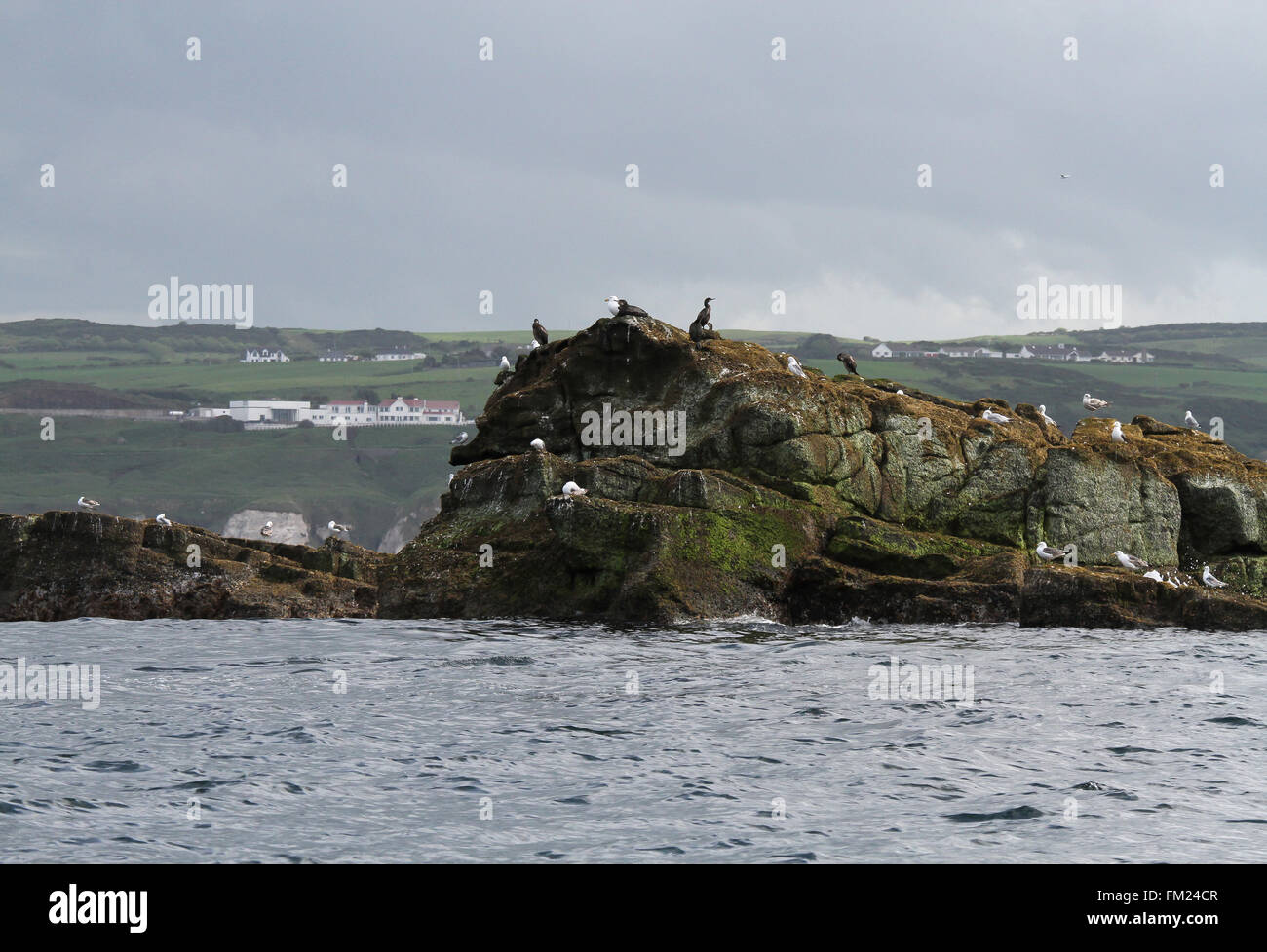 The Skerries - a small group of rocky islands just off Portrush, County ...