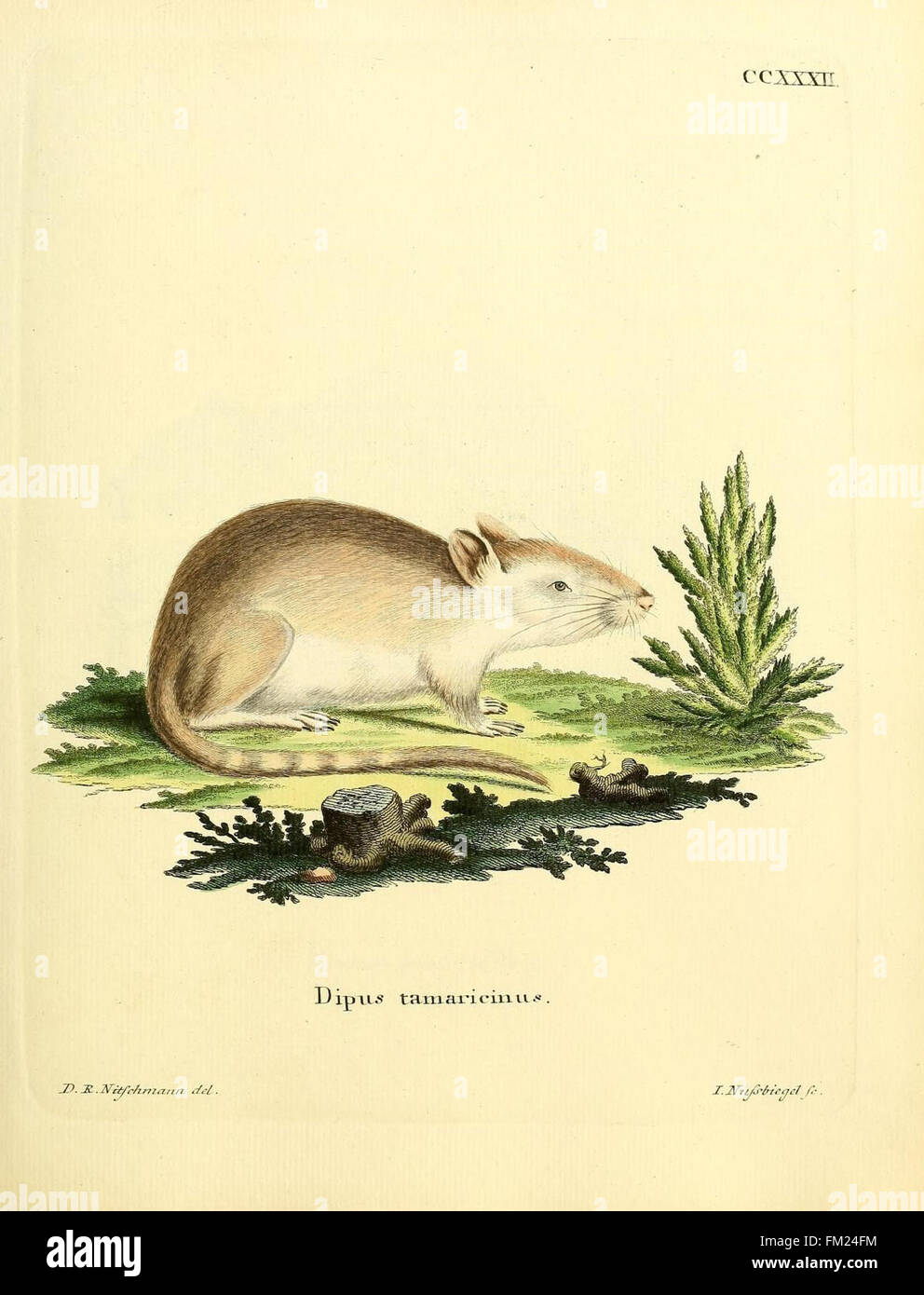 A continuation of the series from Harvard University, this volume ...
