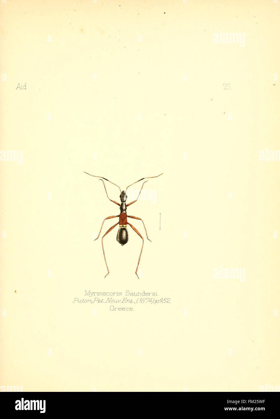 This work offers a guide to identifying various insect species ...