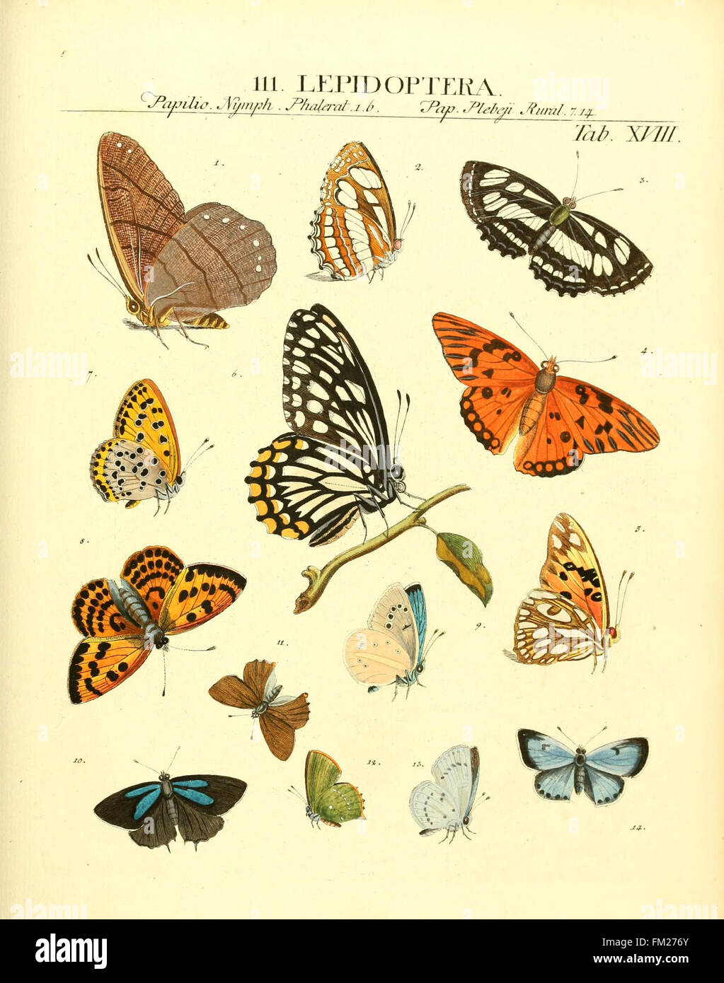 Dr. Sulzer's 'Abgekürzte Geschichte der Insecten' provides a concise ...