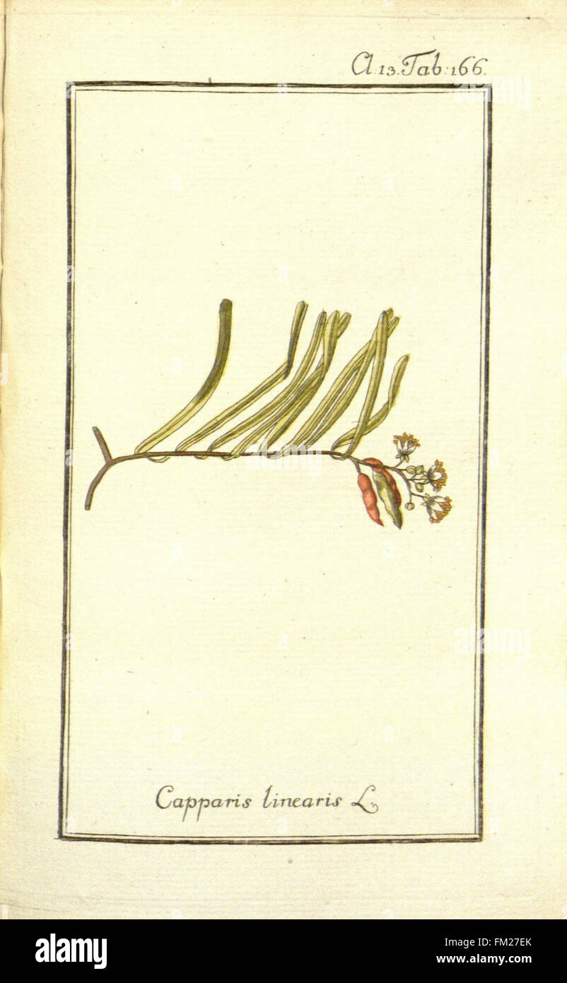 A work presenting a selection of American plants classified according ...