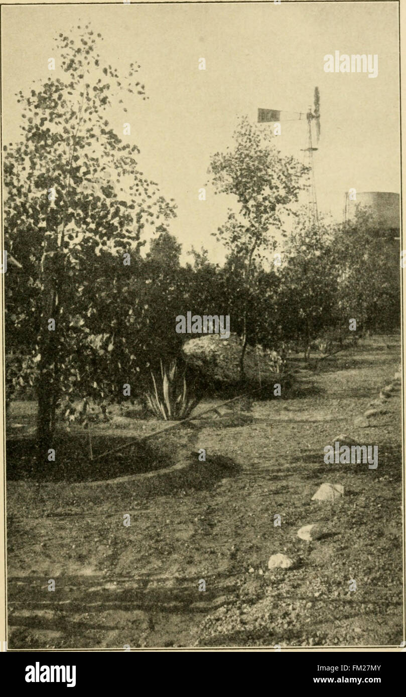 A guide to dry-farming methods, published in 1911, detailing ...