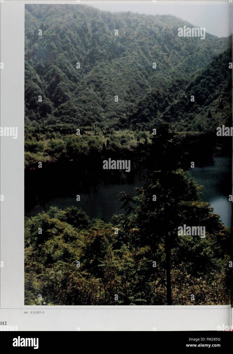 *Du jiang yan sheng wu duo yang xing yan jiu yu bao hu* (2000.1) is a ...