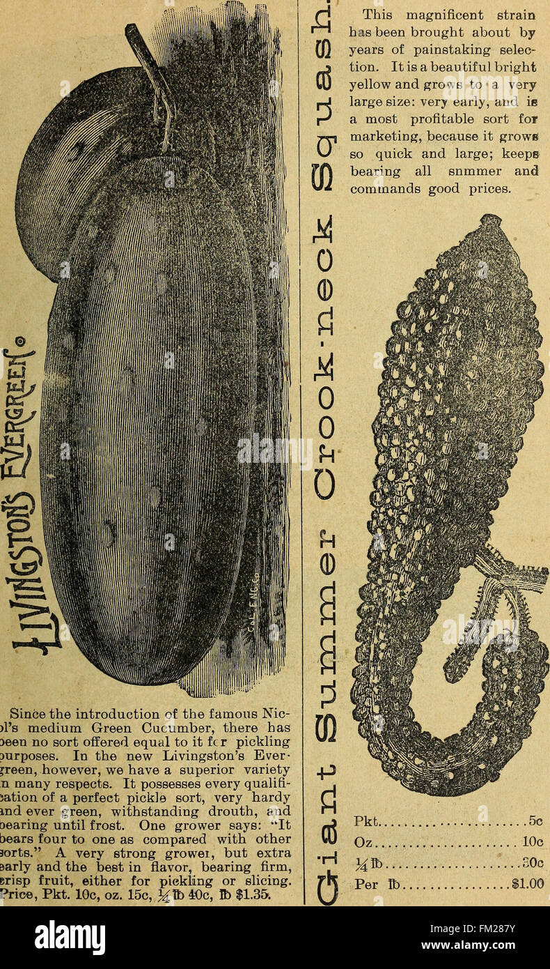 E. Annabil and Co.'s Seed Annual (1893) is a catalog detailing various ...