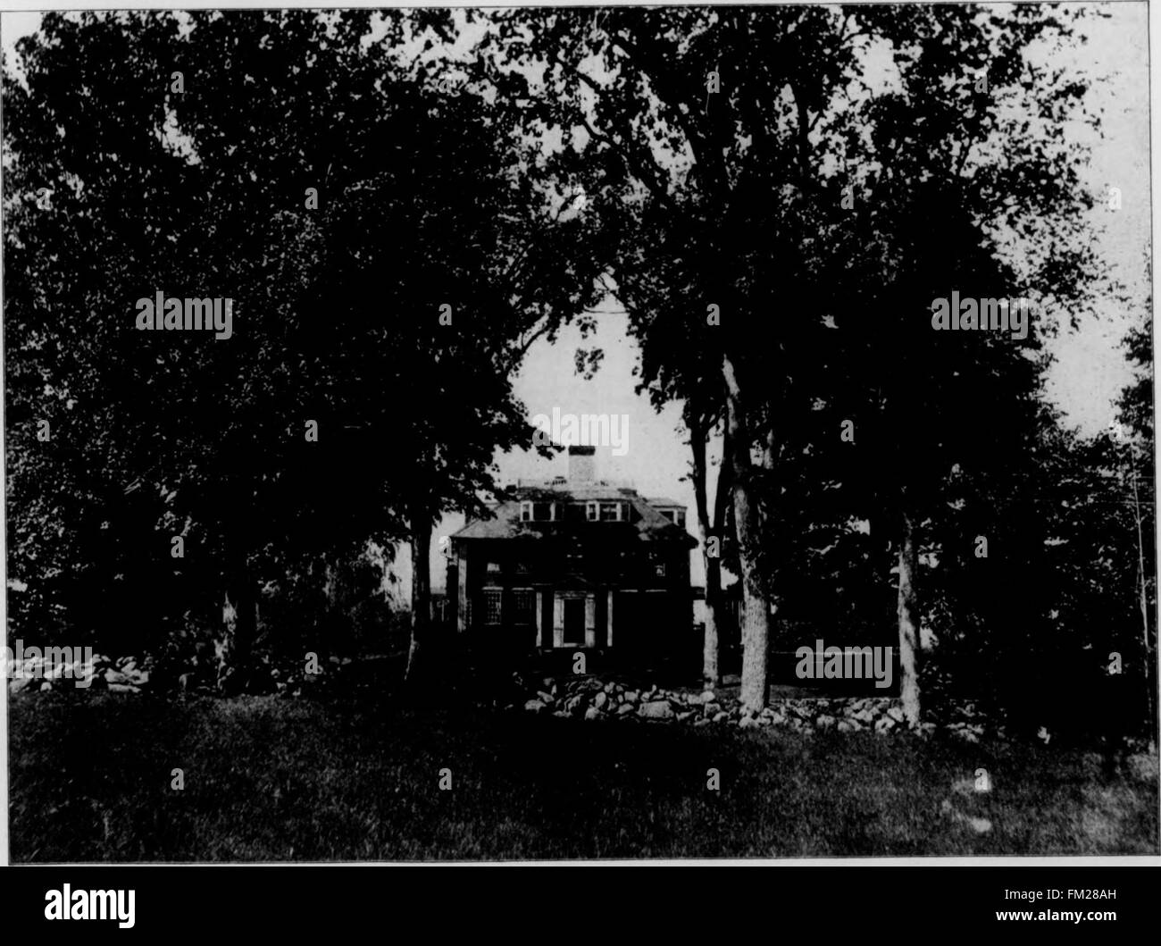 Indigenous fruits Black and White Stock Photos & Images - Alamy