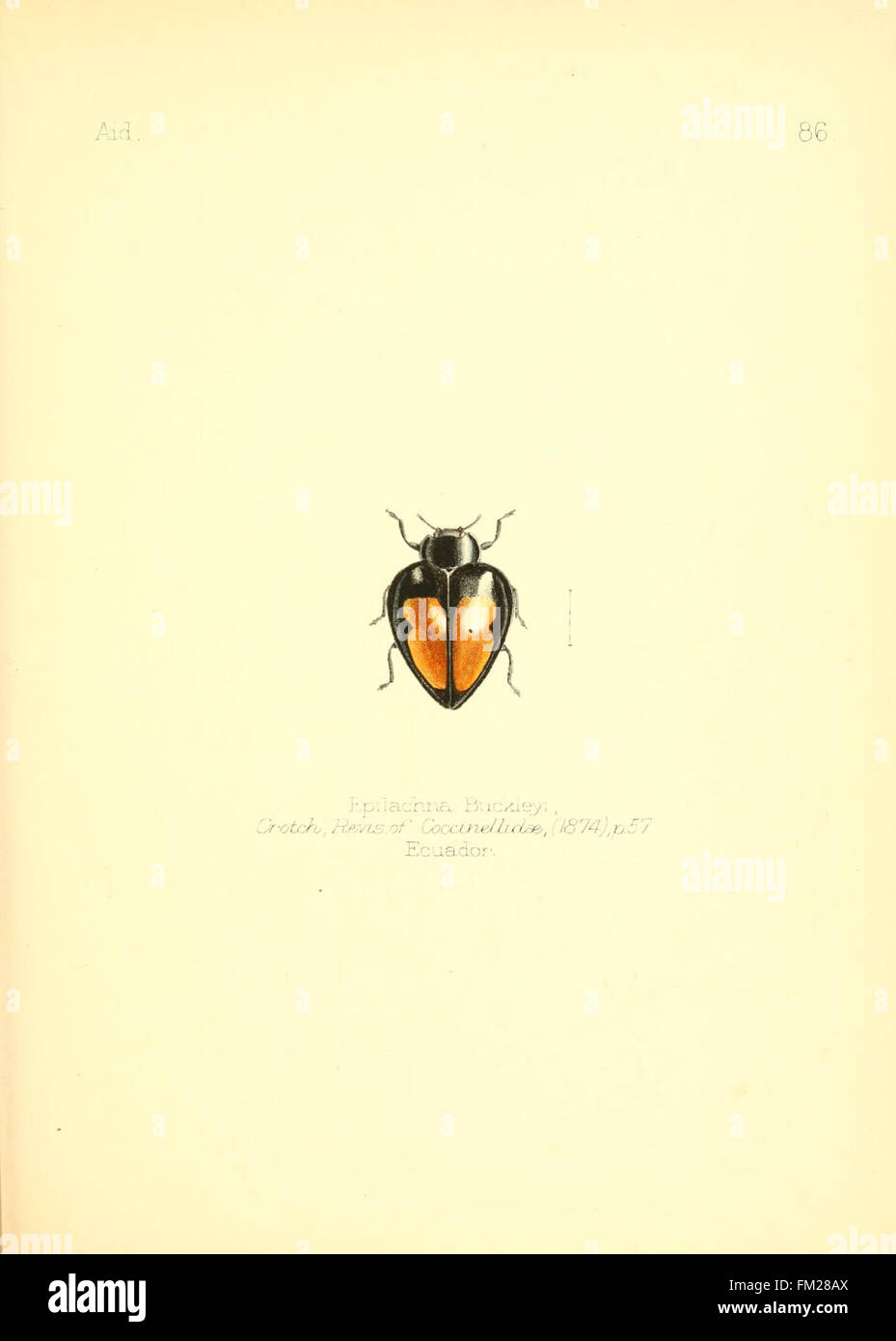 This plate provides detailed illustrations for the identification of ...