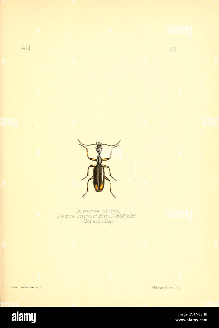 A resource providing a visual guide for insect identification ...