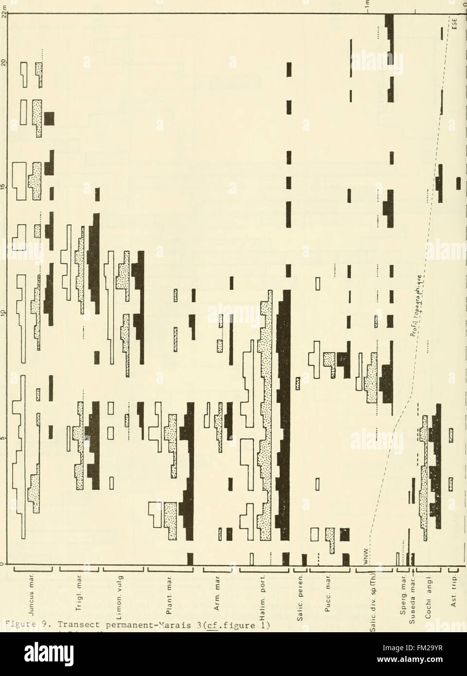 Old map of cadiz hi-res stock photography and images - Alamy