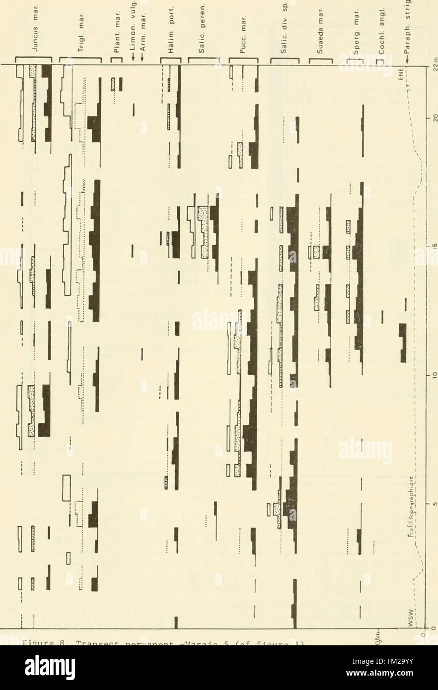 Old map of cadiz hi-res stock photography and images - Alamy
