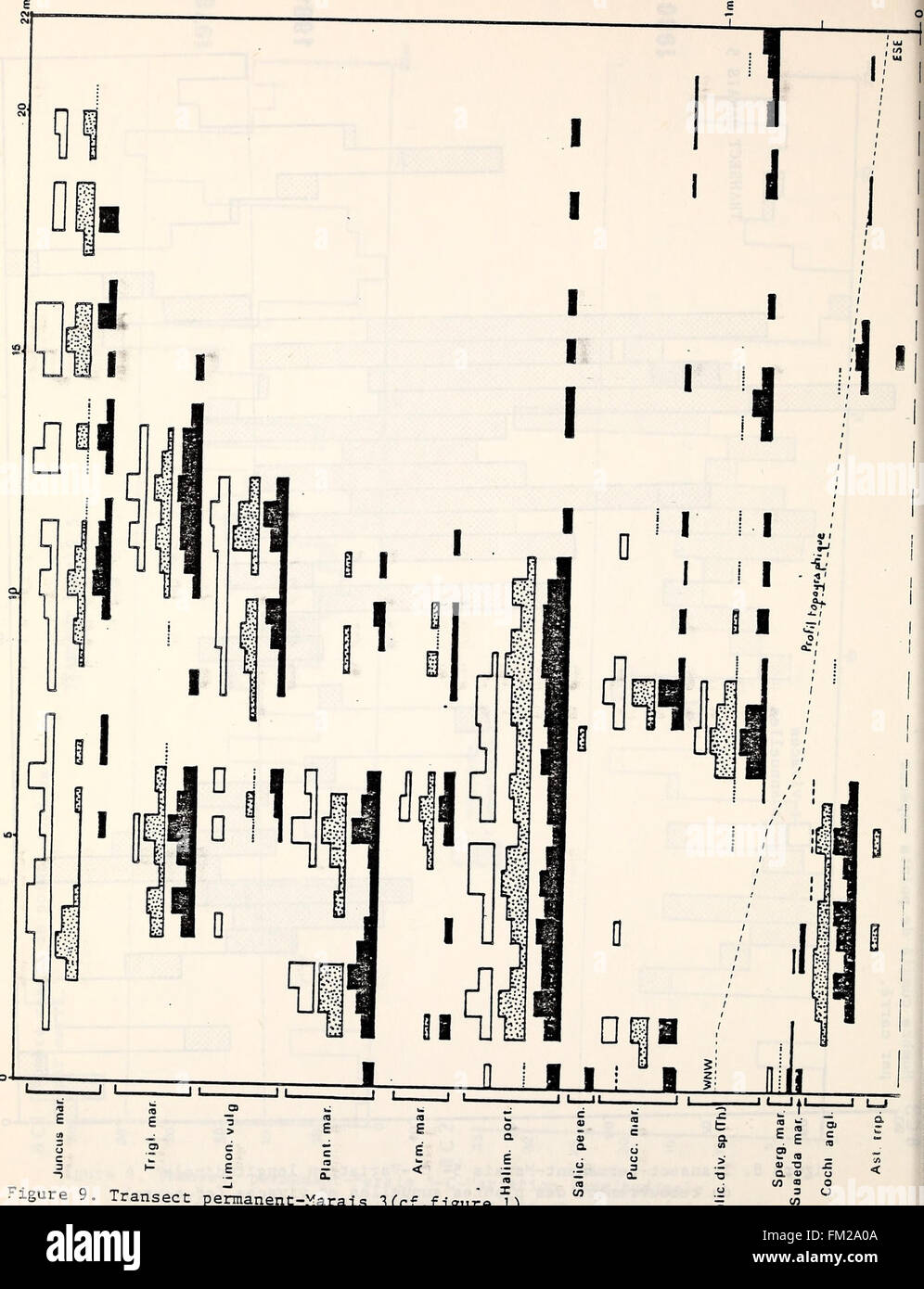Old map of cadiz hi-res stock photography and images - Alamy