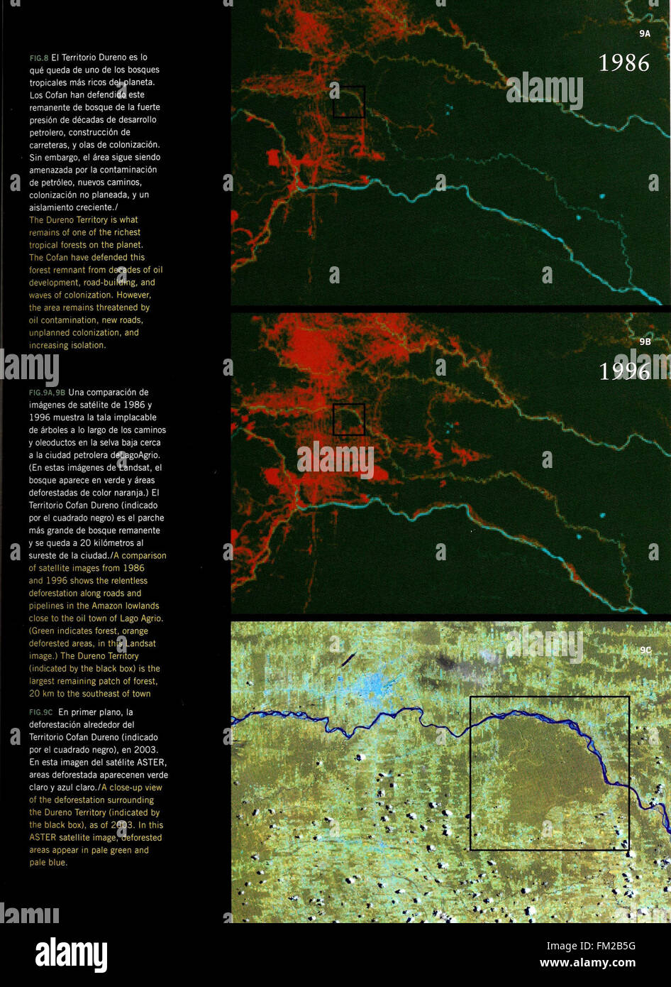 This study on *Ecuador - Territorio Cofan Dureno* (2007) explores the ...