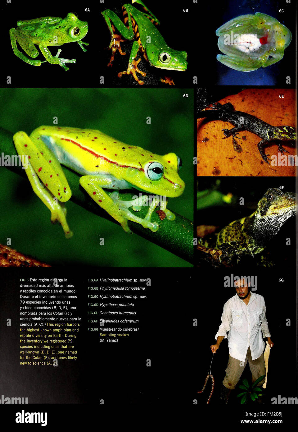 Antique map of ecuador hi-res stock photography and images - Alamy