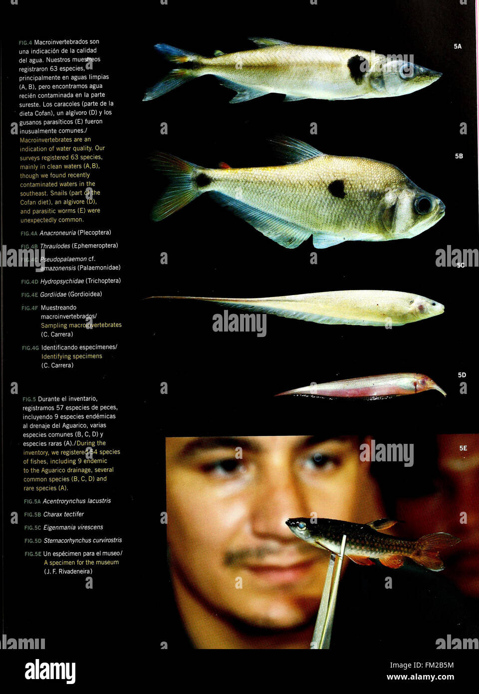 A 2007 study documenting the Cofan territory in Ecuador, focusing on ...