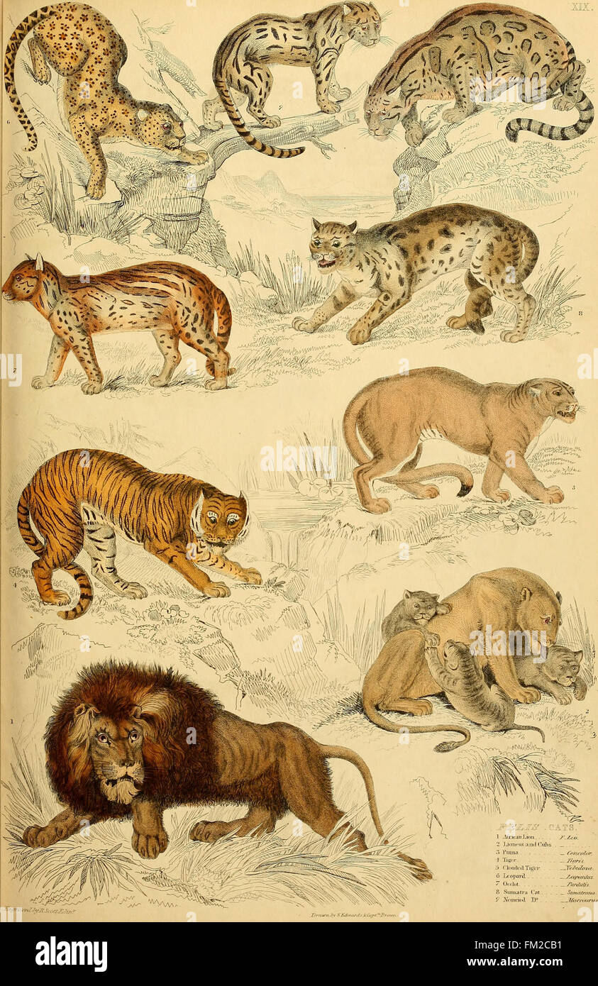 The 'Edinburgh Journal of Natural History and Physical Sciences' (1835 ...