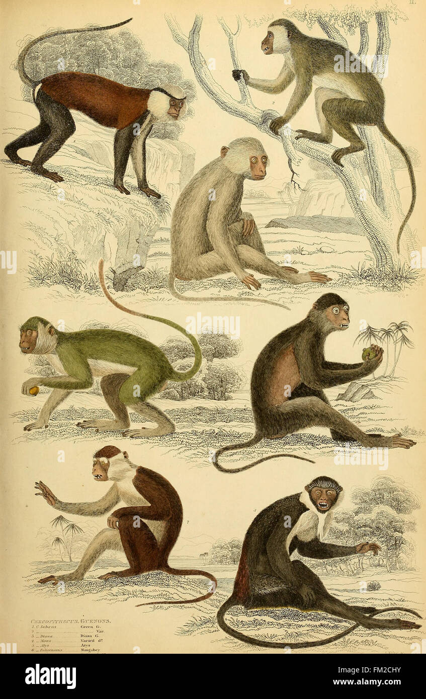 The 1835 Edinburgh Journal of Natural History and Physical Sciences ...