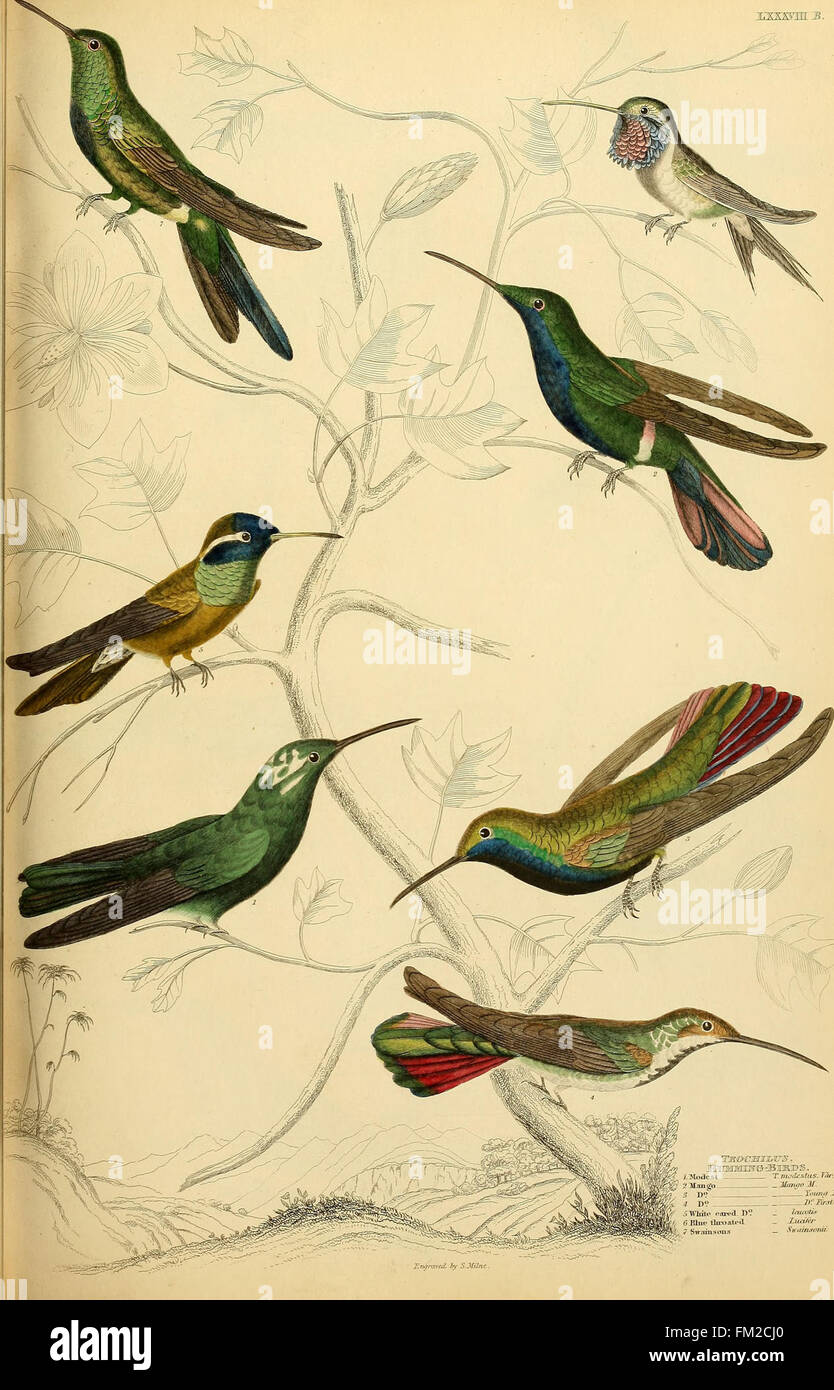 The 'Edinburgh Journal of Natural History and of the Physical Sciences ...