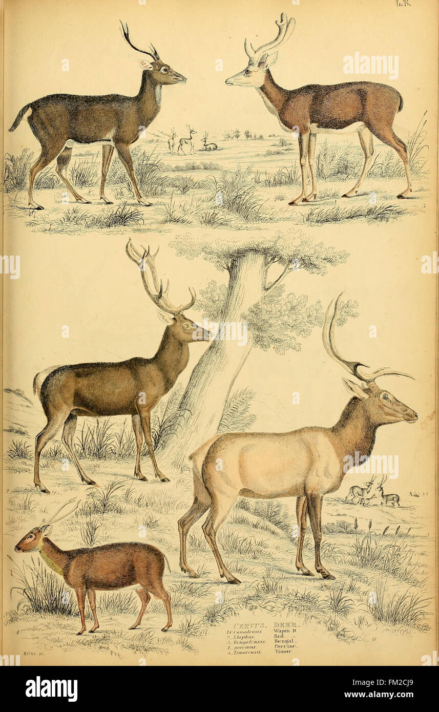 Edinburgh journal of natural history and of the physical sciences (1835 ...