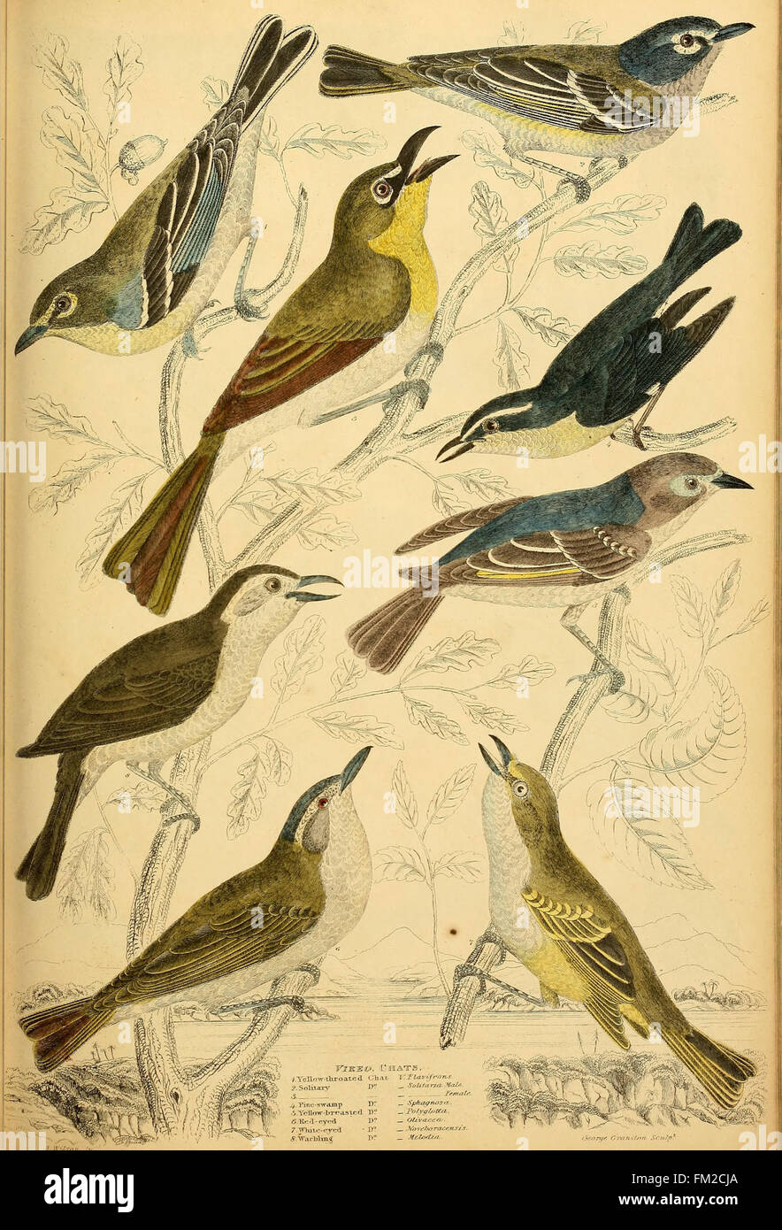 A 1835 journal documenting the natural history and physical sciences of ...