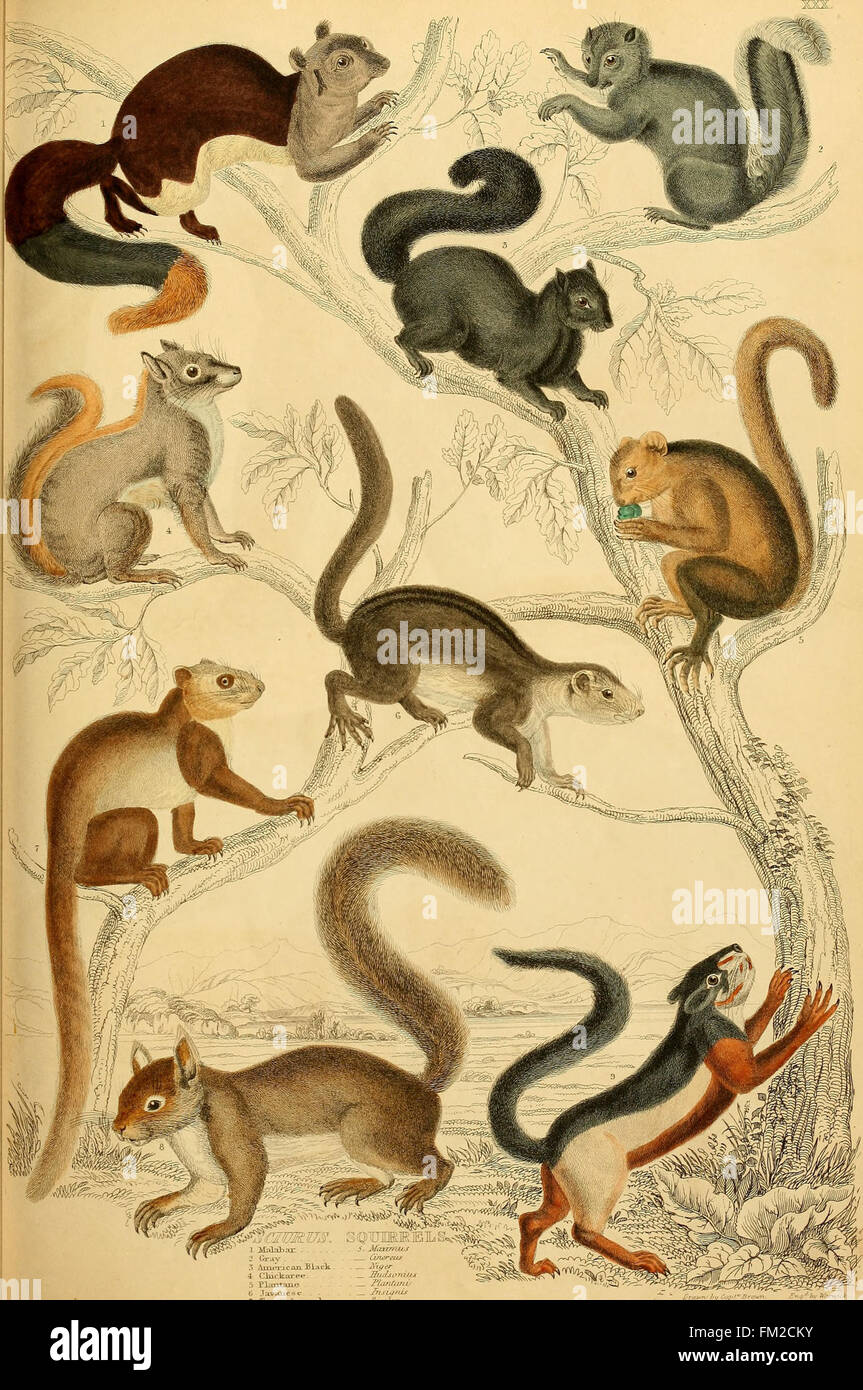 The 1835 'Edinburgh Journal of Natural History and of the Physical ...