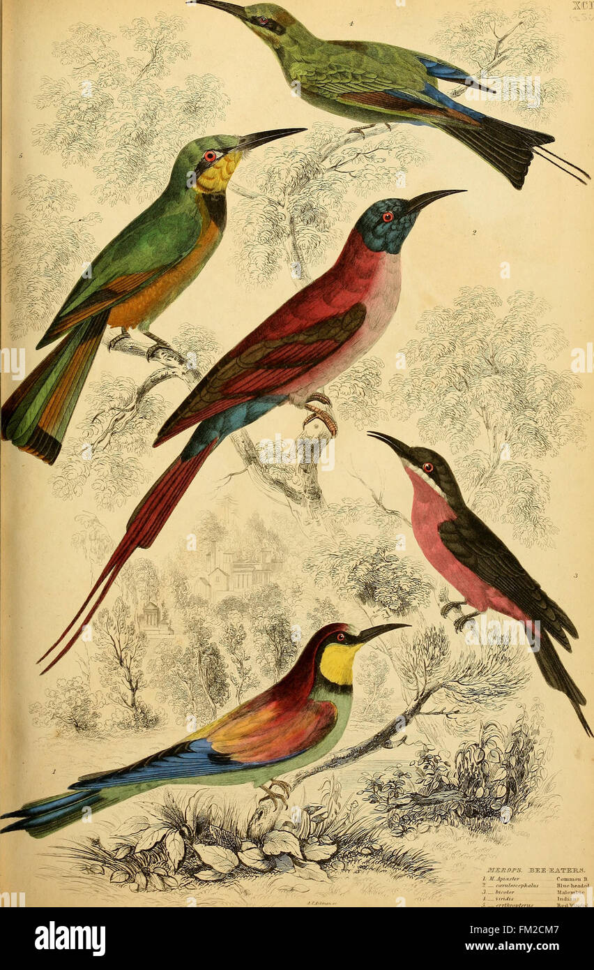 The 'Edinburgh Journal of Natural History and Physical Sciences' (1835 ...