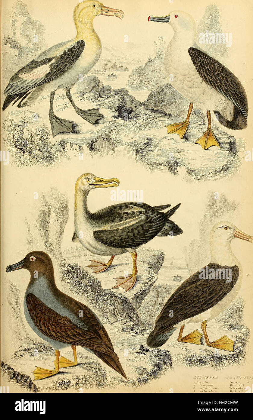 This 19th-century journal focuses on natural history and the physical ...