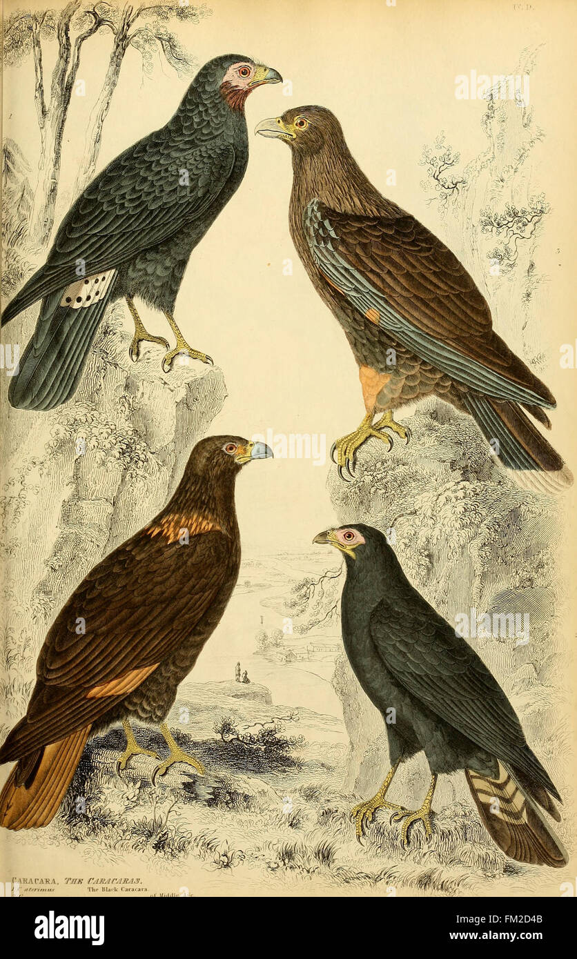 The *Edinburgh Journal of Natural History and Physical Sciences* (1839 ...