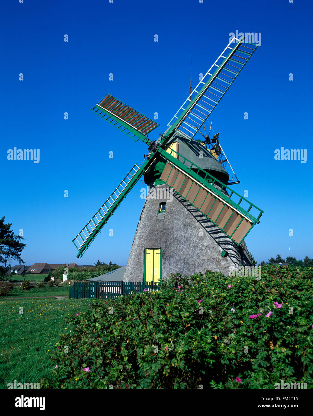 Windmill in Nebel, Amrum island, Schleswig-Holstein, Germany, Europe ...