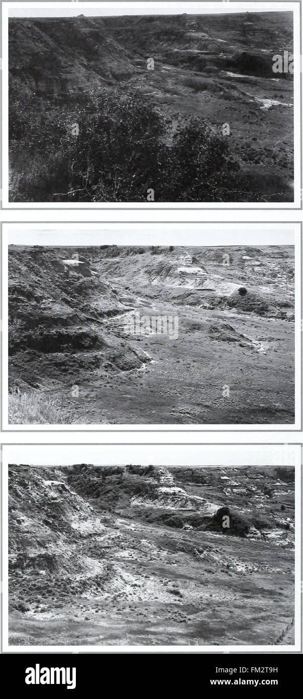 This photographic record from 2001 documents vegetation and landscape ...