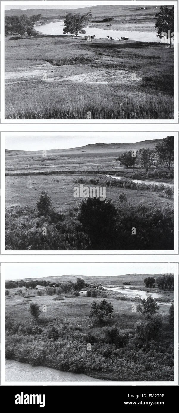 A 2001 photographic record documenting the changes in vegetation and ...
