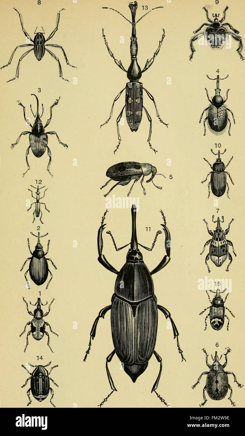 This textbook, published in 1892, offers an introduction to entomology ...
