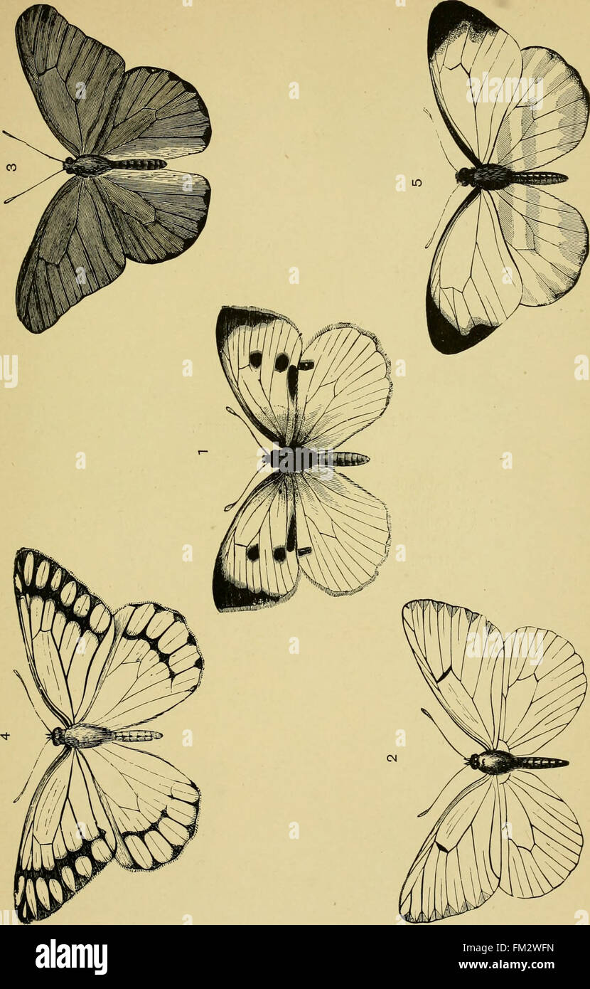 This textbook provides an introduction to entomology, covering insect ...