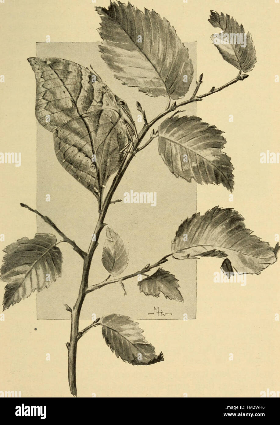 'Elementary Zoology' (1902) is a textbook designed to introduce the ...