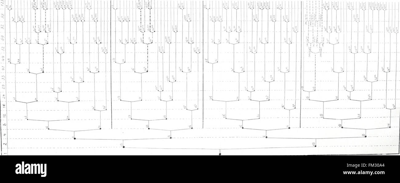 This 1905 work explores the embryology of *Physa fontinalis*, a ...