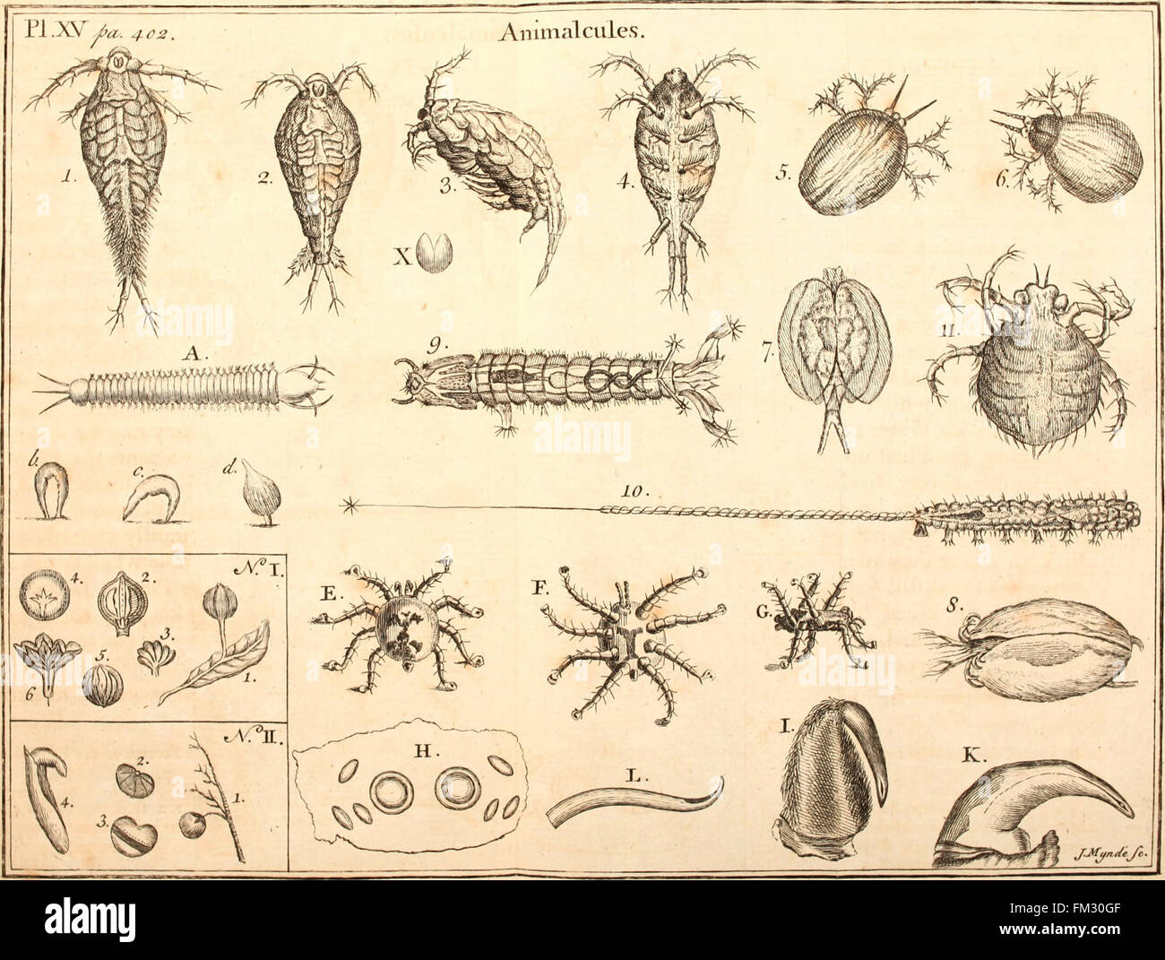 18th century medical instruments hi-res stock photography and images ...